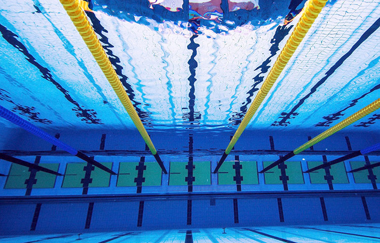 Cada deporte a su bola – Piscina de Natación – Una neurona para cada ...